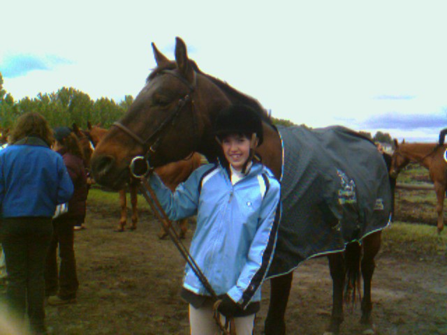 Our School Horses